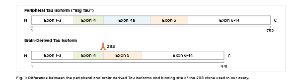 The analysis of brain-derived Tau is coupled with a pre-analytical ...